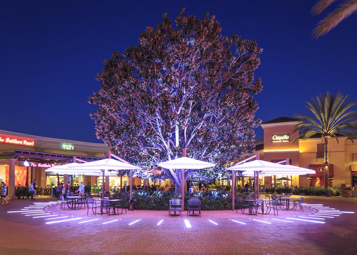 Retail Centers - BCV Architecture + Interiors